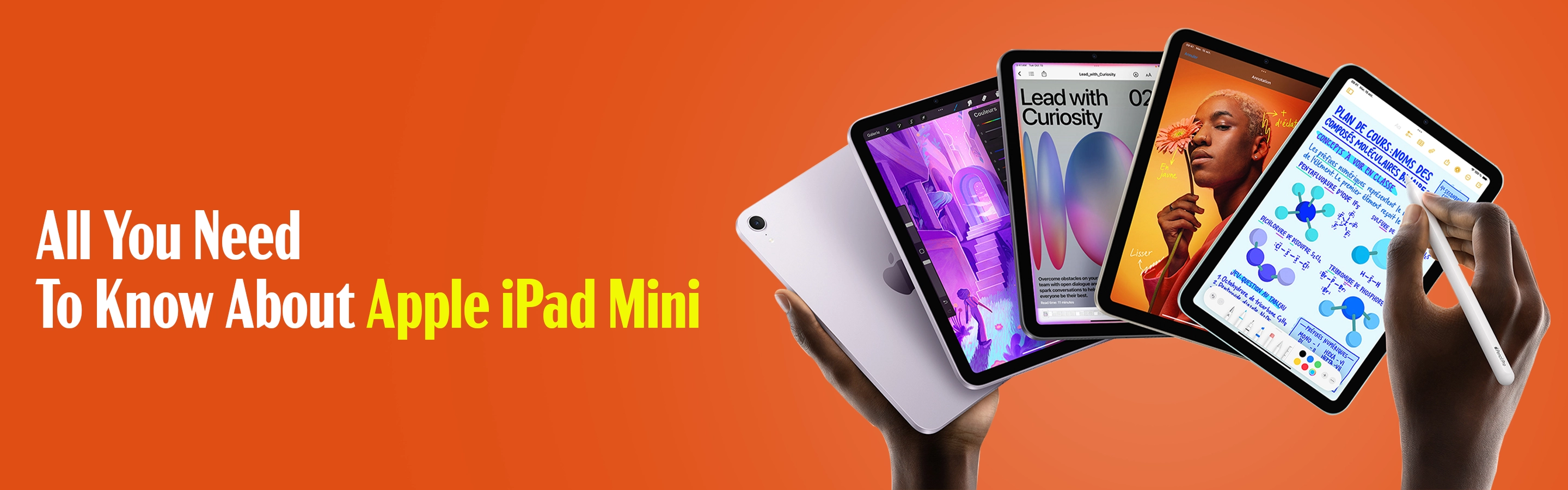 All You Need To Know About Apple iPad Mini Trust Haven Solution Store